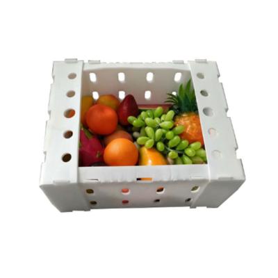 China Polypropylene Plastic Corrugated Fruits Vegetables Box Corn Asparagus Boxes for Packing for sale