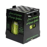 China Polypropylene Plastic Corrugated Fruits Vegetables Box Corn Asparagus Boxes for Packing for sale
