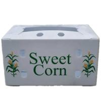 China Polypropylene Plastic Corrugated Fruits Vegetables Box Corn Asparagus Boxes for Packing for sale