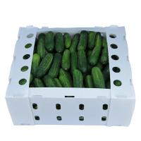 China PP Corrugated Plastic Box for Vegetable Fruit Box Folding Coroplast Corn Okra Boxes for sale