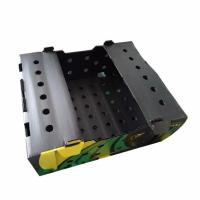 China Corrugated Plastic Polypropylene Coroplast Fresh Okra Box for Agriculture Packing for sale