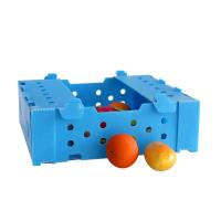 China Folding Fluted Polypropylene Plastic Fresh Okra Box for Packing Storage for sale