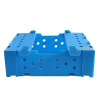China Folding Fluted Polypropylene Plastic Fresh Okra Box for Packing Storage for sale