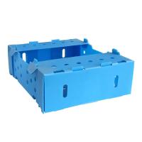 China Folding Fluted Polypropylene Plastic Fresh Okra Box for Packing Storage for sale