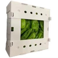 China Foldable Corrugated Polypropylene Plastic Fresh Okra Packing Box for sale