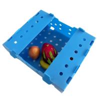 China Foldable Corrugated Polypropylene Plastic Fresh Okra Packing Box for sale