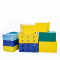 China Foldable Corrugated Polypropylene Plastic Fresh Okra Packing Box for sale
