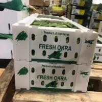 China Foldable Corrugated Polypropylene Plastic Fresh Okra Packing Box for sale