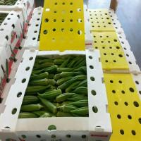 China Foldable Corrugated Polypropylene Plastic Fresh Okra Packing Box for sale