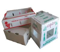 China Corrugated PP Plastic Storage Tray for Fruit Vegetables Food Using for sale
