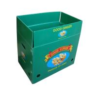 China Corrugated PP Plastic Storage Tray for Fruit Vegetables Food Using for sale