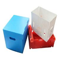 China Factory Price Custom Logo Fruits Vegetables Corrugated PP Plastic Storage Boxes for sale