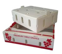 China Factory Price Custom Logo Fruits Vegetables Corrugated PP Plastic Storage Boxes for sale