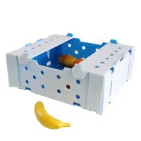China Polypropylene Corrugated Plastic Packing Fruit Boxes Vegetables Box for sale
