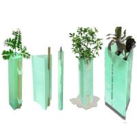 China Corflute Tree Guards Fluted Plastic Tree Shelters 450x200 600x 200 for sale