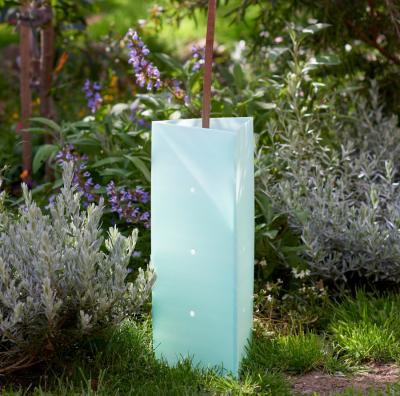 China 450 X 200mm Corflute Tree Guard Vine Guards for Plant Protection for sale