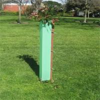 China UV Resistance Corflute Vine Guards for Plant Protection Guard for sale