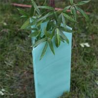 China UV Resistance Corflute Vine Guards for Plant Protection Guard for sale