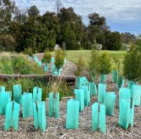 China UV Resistance Corflute Vine Guards for Plant Protection Guard for sale