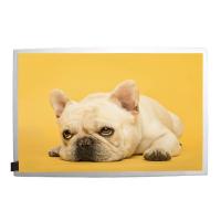 China 10.1 Inch Outdoor LCD Digital Signage Display 1000 Nits Brightness 1280x800 Resolution for sale