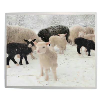 China 17 Inch High Brightness LCD Panel 1000 Nits Outdoor Display with 30-Pin LVDS Connector for sale
