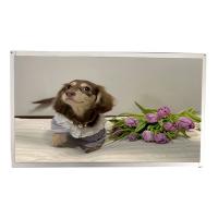 China 18.5 Inch High Brightness Outdoor LCD Panel 1500 Nits 1920x1080 Industrial TFT Monitor with Auto-Dimming for sale