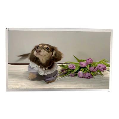 China 18.5 Inch High Brightness Outdoor LCD Panel 1500 Nits 1920x1080 Industrial TFT Monitor with Auto-Dimming for sale