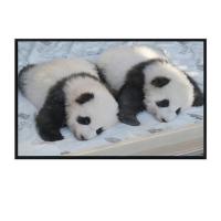 China 49 Inch 2000nits High Brightness LCD Panel - 1920x1080 FHD Resolution, 50,000 Hour Backlit Lifetime for Outdoor Advertising Displays for sale