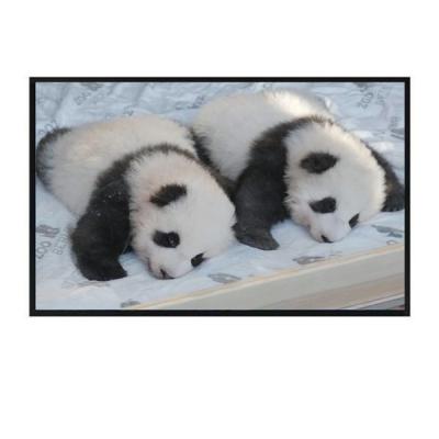 China 49 Inch 2000nits High Brightness LCD Panel - 1920x1080 FHD Resolution, 50,000 Hour Backlit Lifetime for Outdoor Advertising Displays for sale