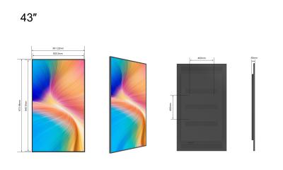 China 50/60Hz Input Voltage 43inch Window Facing LCD Display with Ultra-Thin Design for sale