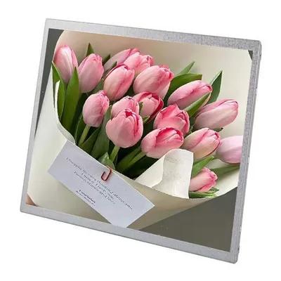 China 300 Cd/m² Small LCD Panel 800:1 Contrast Ratio Hard Coating 3H for Medical Equipment for sale
