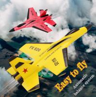 China OEM ODM Remote Control RC Airplane For Beginners 2.4G RC Fighter Plane for sale