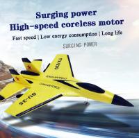 China OEM ODM Remote Control RC Airplane For Beginners 2.4G RC Fighter Plane for sale
