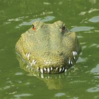China 2.4ghz Remote Control RC Boat Simulation RC Crocodile Head Army Color for sale