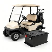 China 51.2V 75Ah Lithium LiFePo4 Battery Compact Lightweight Lithium Battery For Electric Golf Carts for sale