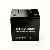 China LFP Electric Golf Cart Battery 51.2V 30Ah Fast Charging Lithium Battery for sale