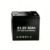 China LFP Electric Golf Cart Battery 51.2V 30Ah Fast Charging Lithium Battery for sale