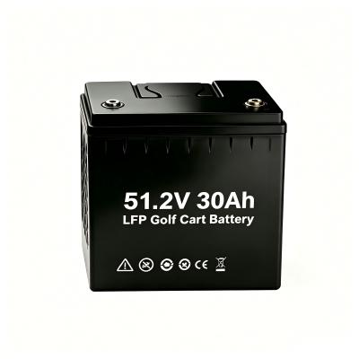 China LFP Electric Golf Cart Battery 51.2V 30Ah Fast Charging Lithium Battery for sale
