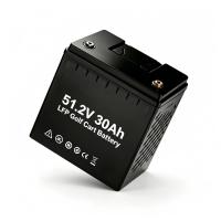 China LFP Electric Golf Cart Battery 51.2V 30Ah Fast Charging Lithium Battery for sale
