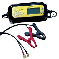 China Smart Battery Charger Supports AGM Li-Fe Battery AC 110V 220V for sale