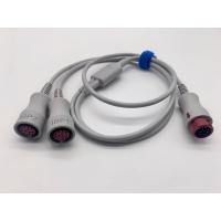 China Compatible 12-Pin 1-to-2 Dual Channel IBP Invasive Blood Pressure Extension Cable for Mindray & PH-ILIPS Patient Monitors for sale