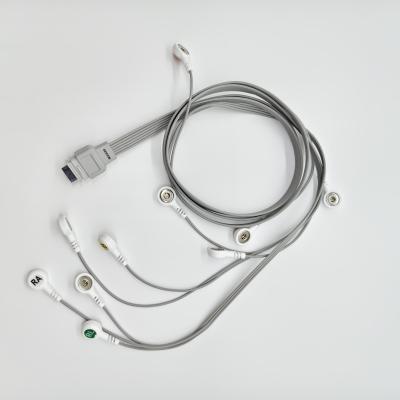 China Compatible with NIHON KOHDEN 16P ten conductor American standard buckle dynamic lead wire for sale