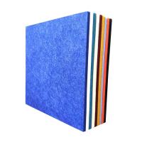 China Meeting Rooms 2300gsm SGS Felt Acoustic Panels for sale