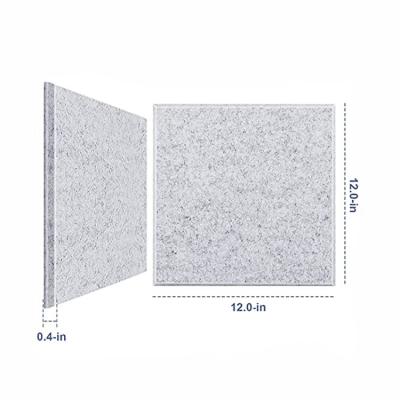 China Fireproof PET Panels Acoustic Flame Retardant 12mm Thickness for sale