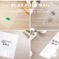 China Small Size Disposable Flat Poly Bag Portable for Cosmetic Samples, Lipsticks and Mini Beauty Supplies for sale