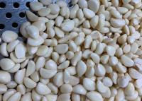 China 3.53oz 100g Peeled Garlic Cloves for sale