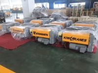 China Single Girder Wire Rope Hoist with Lightweight Design and High-Strength Steel for Lower Construction Costs for sale