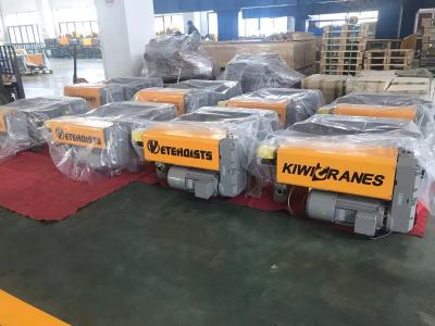 China Single Girder Wire Rope Hoist with Lightweight Design and High-Strength Steel for Lower Construction Costs for sale