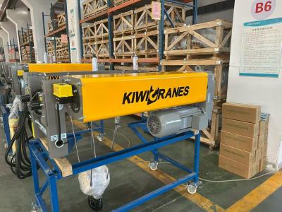 China 10 Ton Capacity Single Girder Wire Rope Hoist with Low Noise Operation and European Design for sale