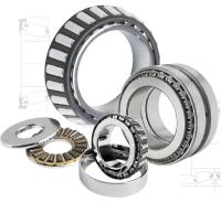China NJ 2236 ECML;NU 2236 ECML Cylindrical Roller Bearings Use For Powder Rotary Vibrating Screen for sale